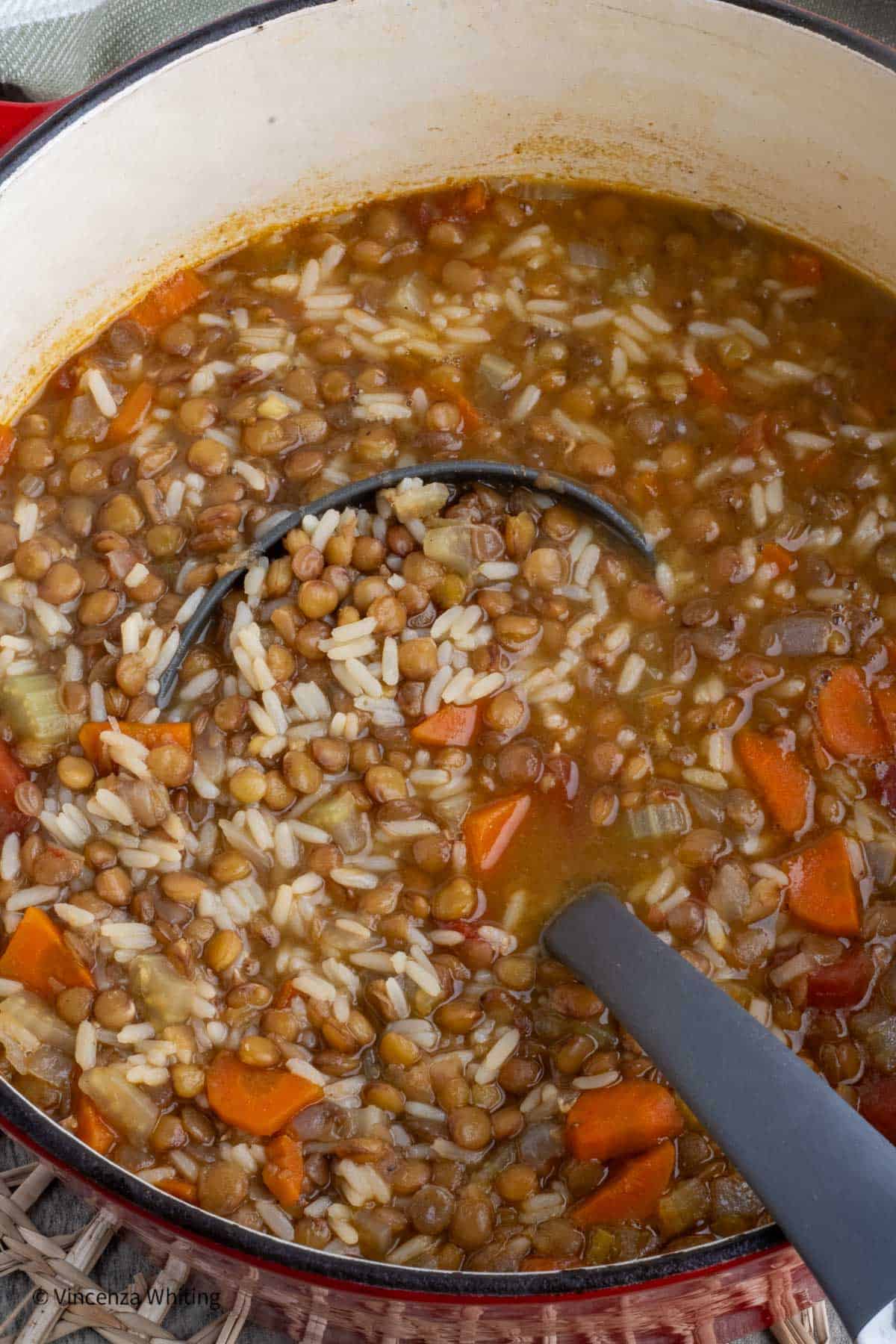 Classic Italian Lentil and Rice Soup (Lenticchie e Riso) - Enza's Quail ...