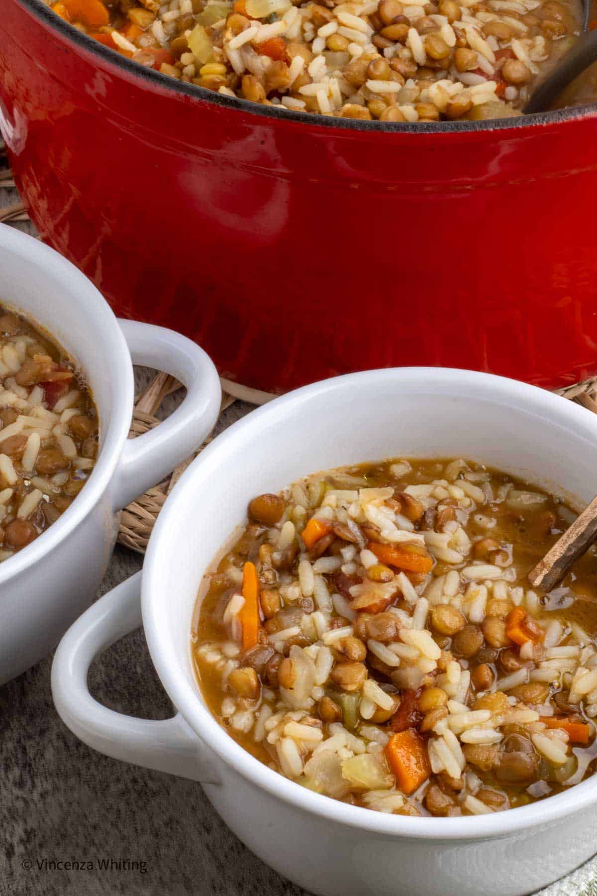 Classic Italian Lentil and Rice Soup (Lenticchie e Riso) - Enza's Quail ...