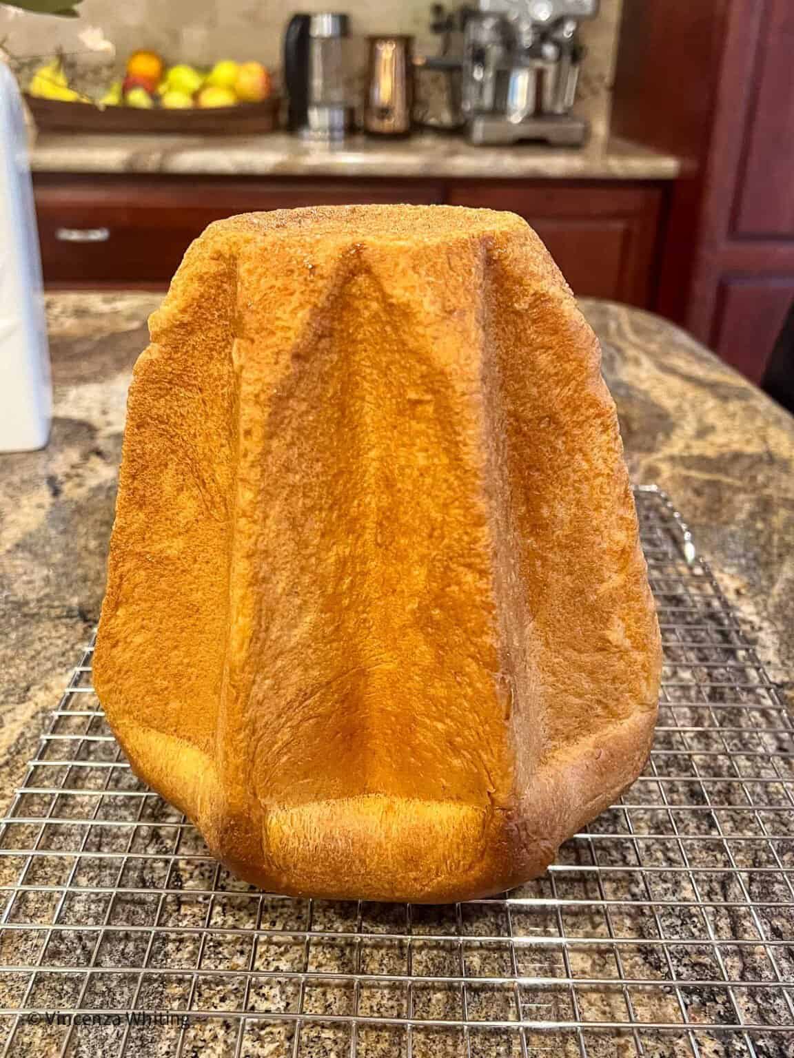 Pandoro - Classic Italian Christmas Cake from Verona - Enza's Quail ...