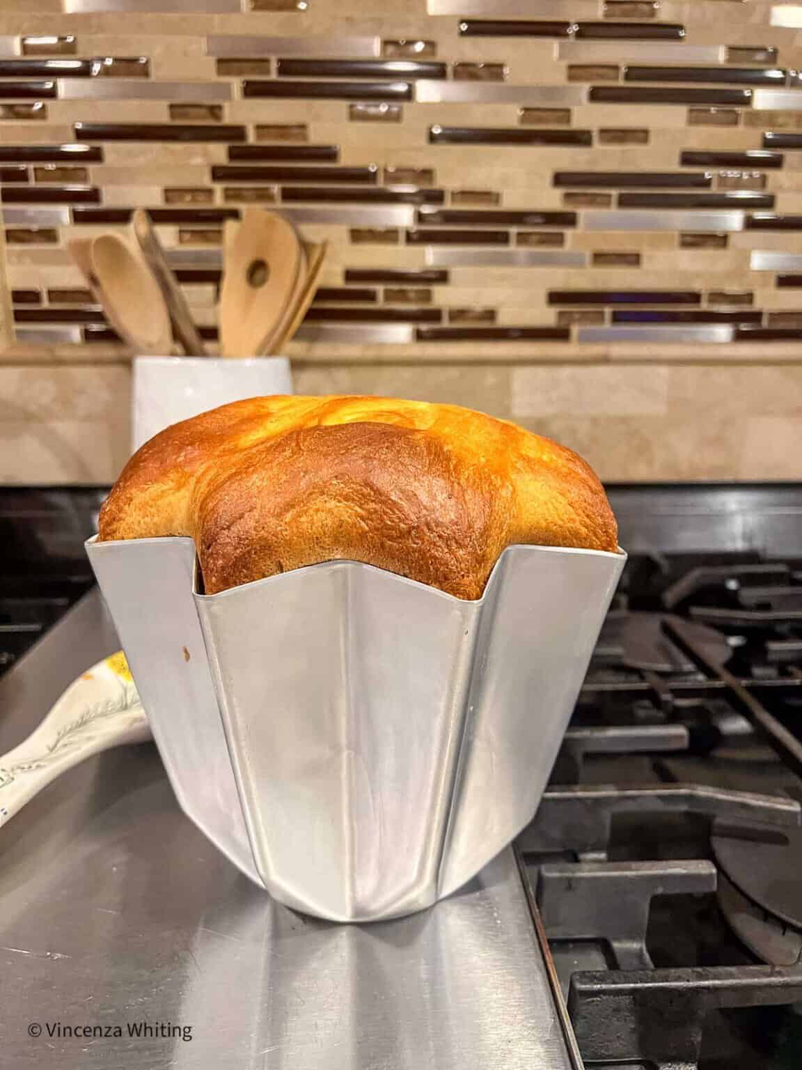 Pandoro - Classic Italian Christmas Cake from Verona - Enza's Quail ...